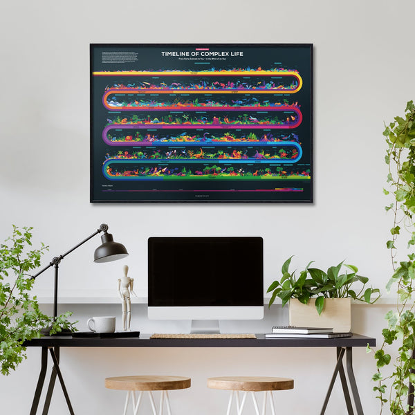 Timeline of Complex Life Poster – the kurzgesagt shop