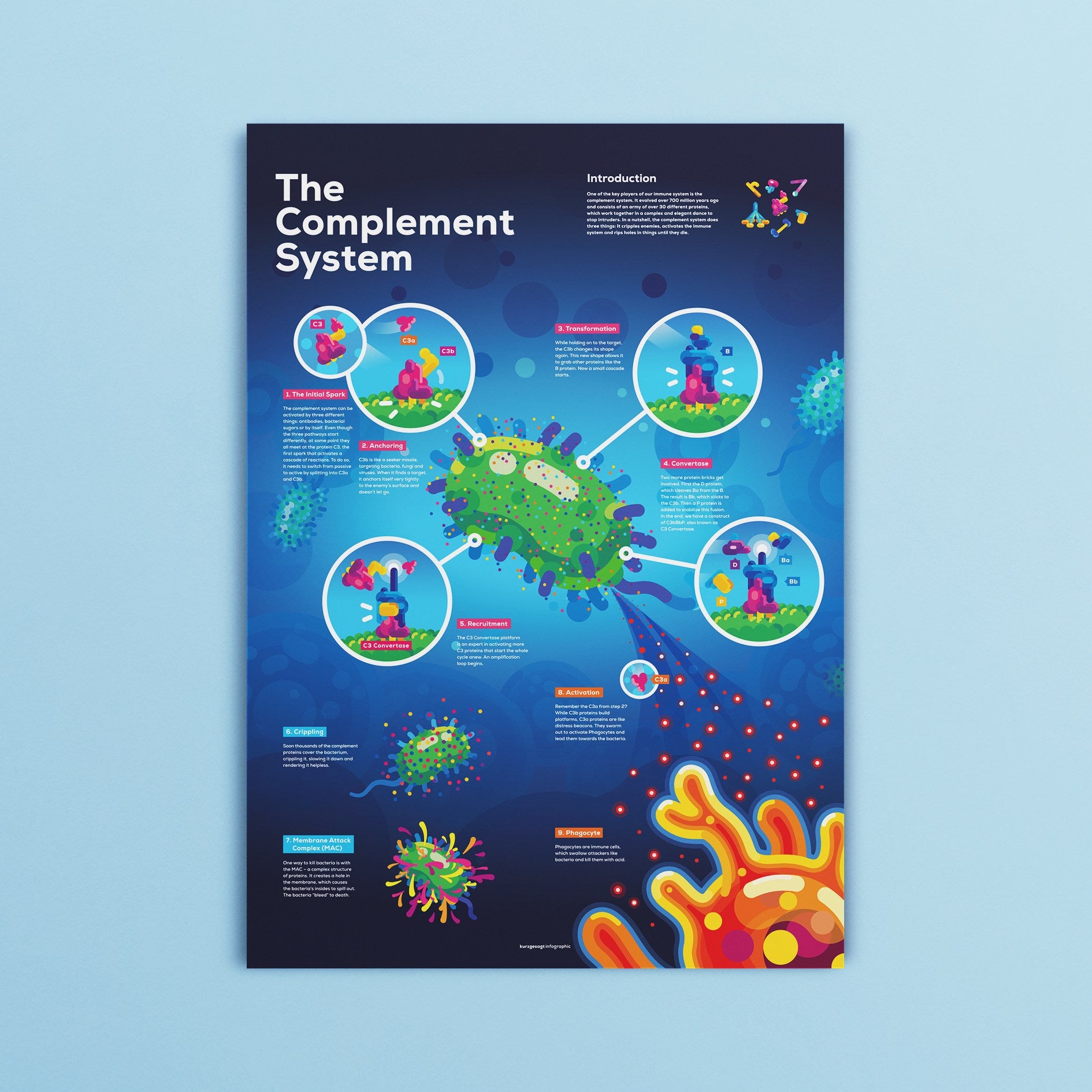 The Science & Life Collection – the kurzgesagt shop