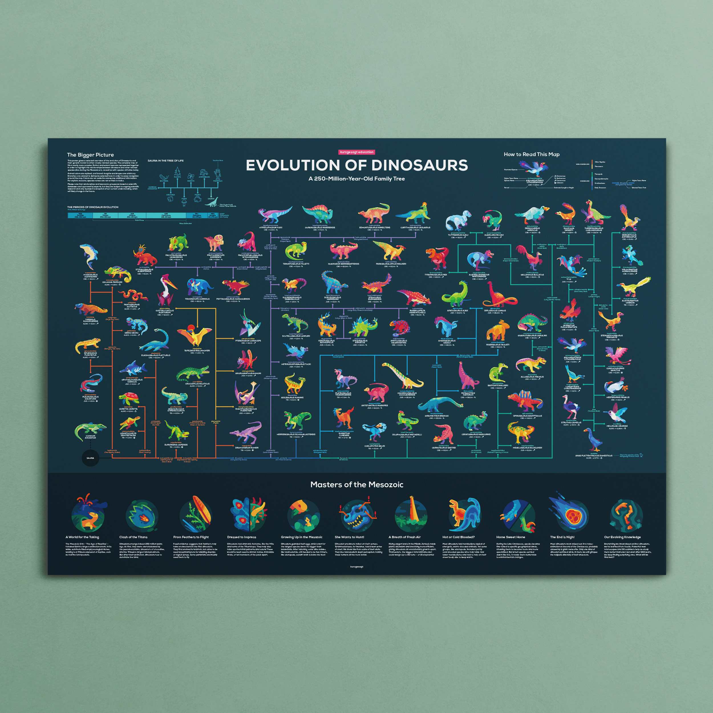 Infographic Posters | Thoroughly Researched, Elaborately Illustrated ...