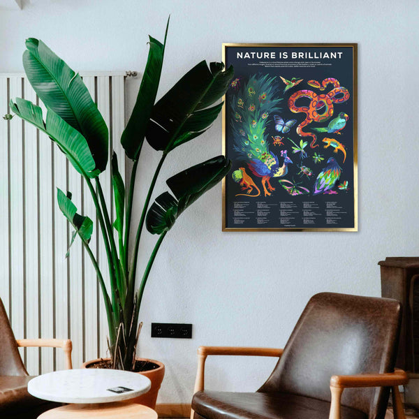 Brilliant Creatures Poster – the kurzgesagt shop