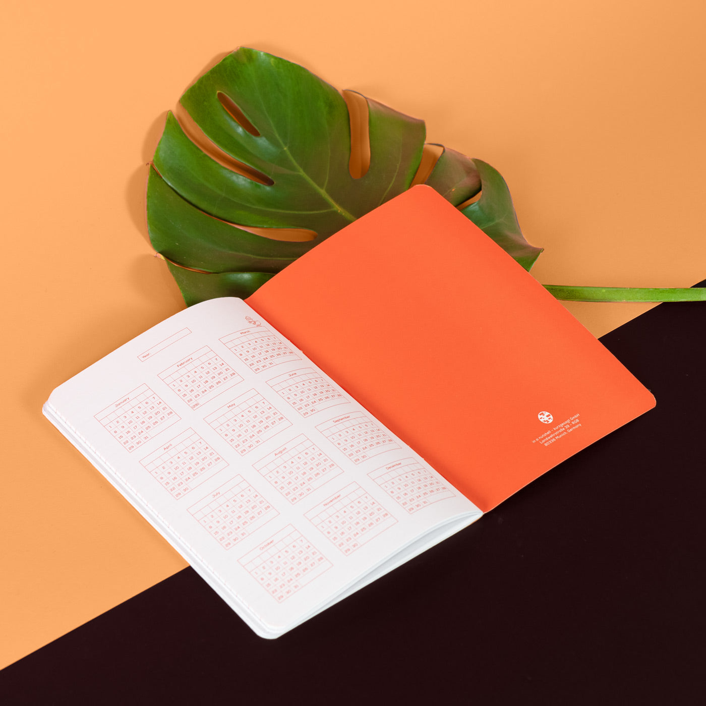 Ant Explorer Notebook – the kurzgesagt shop