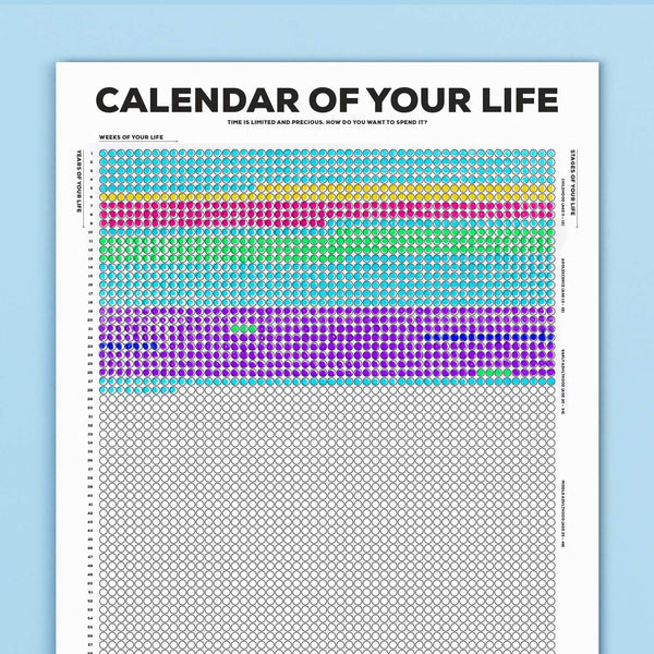 Calendar of Your Life Infographic Poster (B&W) – the kurzgesagt shop
