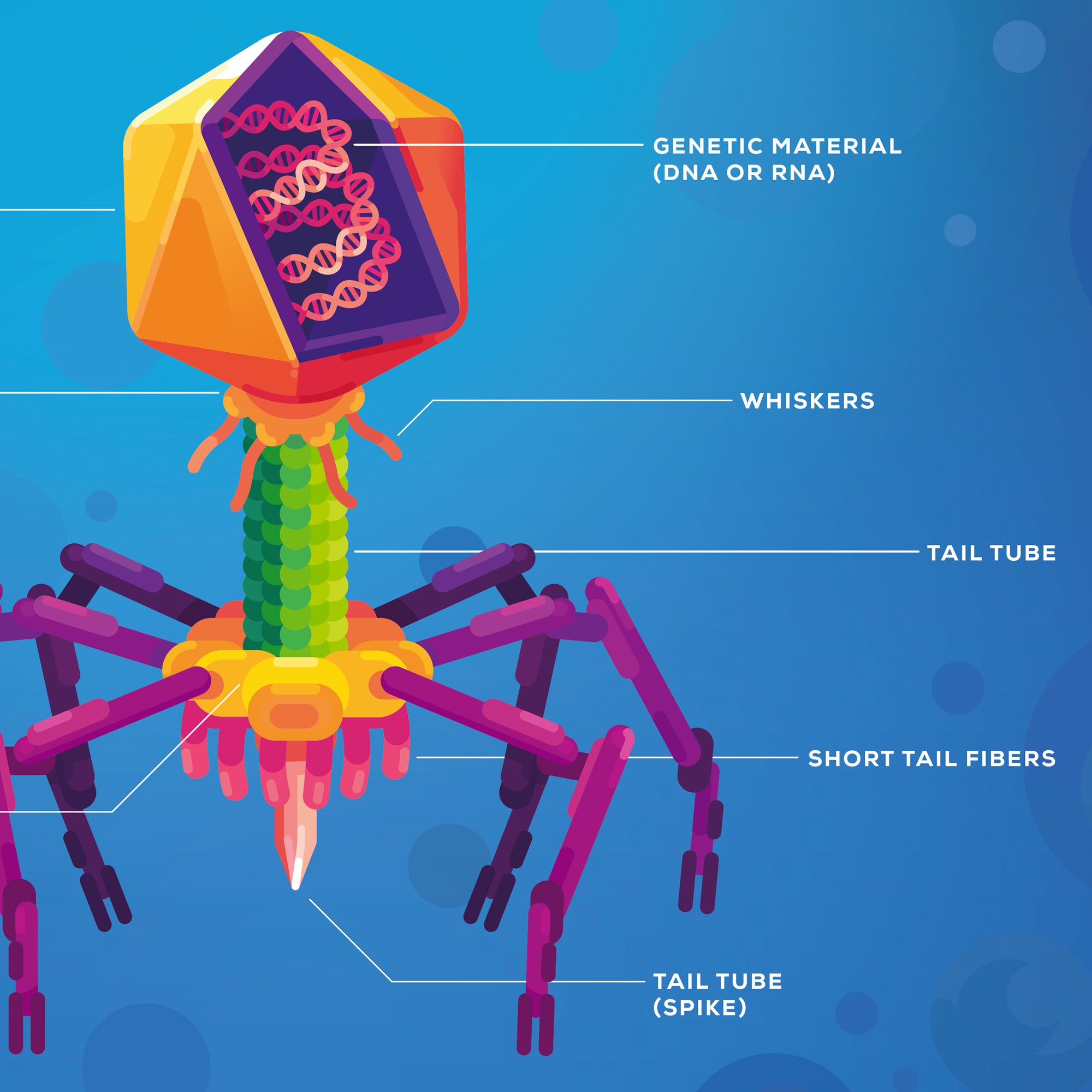 Products – the kurzgesagt shop